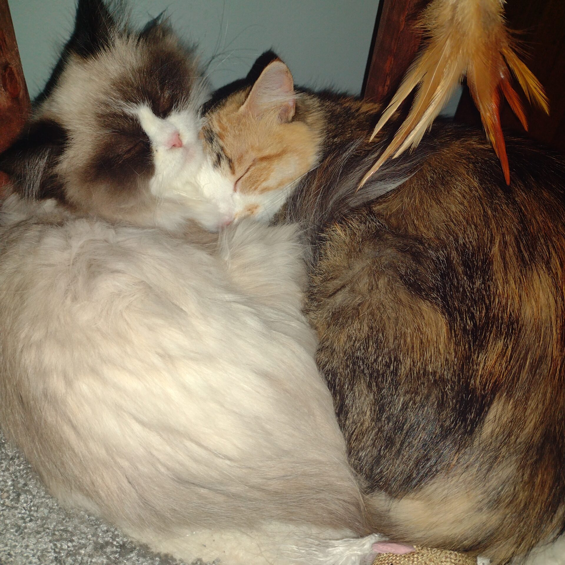 Our Team – Mutual Fund Investor Guide